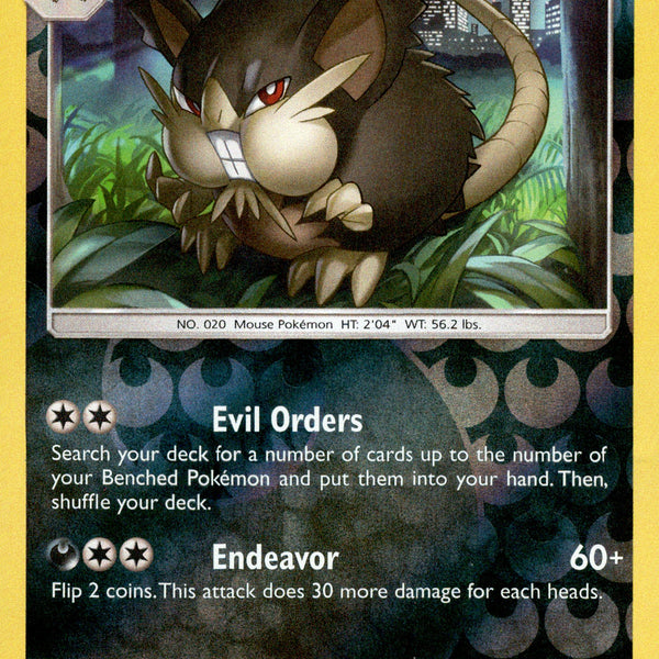 Raticate Card