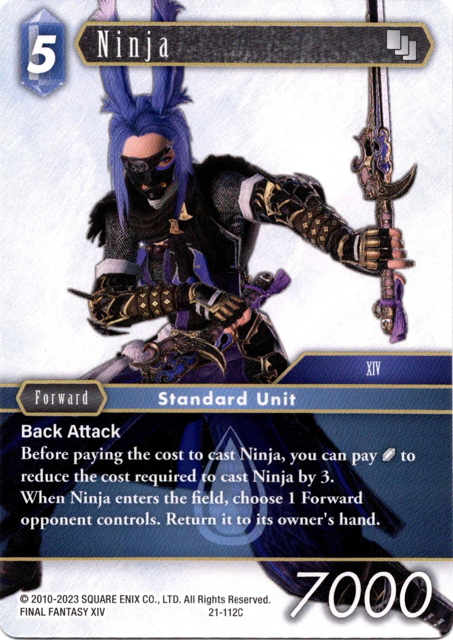 Ninja - 21-112C - Beyond Destiny – Card Cavern Trading Cards, LLC