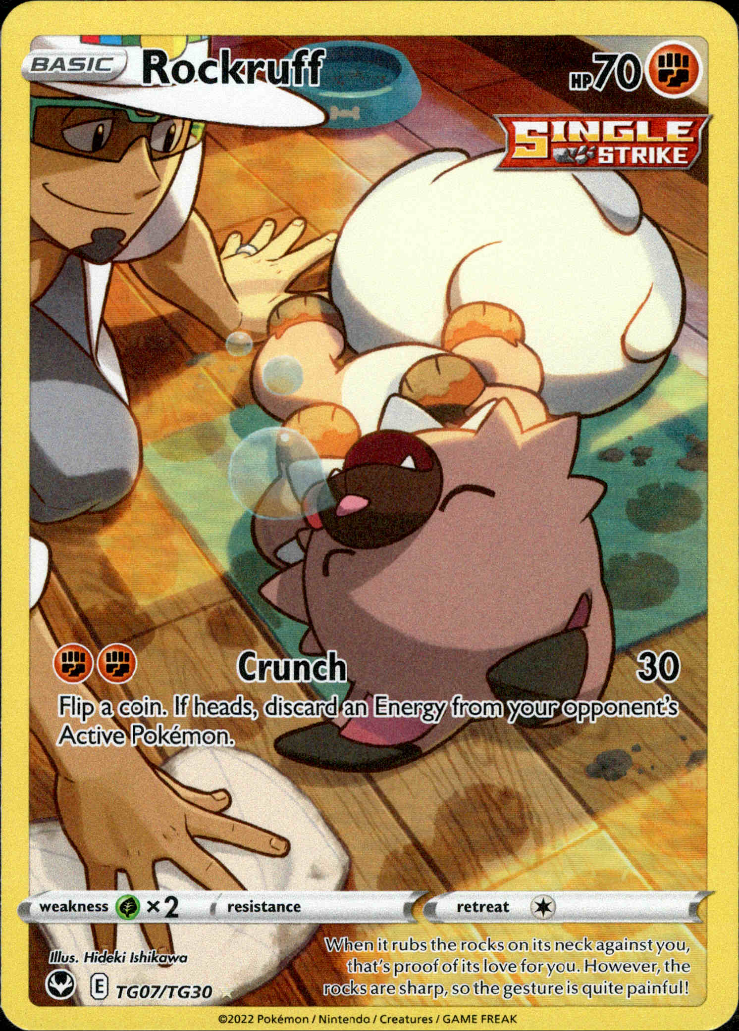 Rockruff - TG07/TG30 - Silver Tempest – Card Cavern Trading Cards, LLC